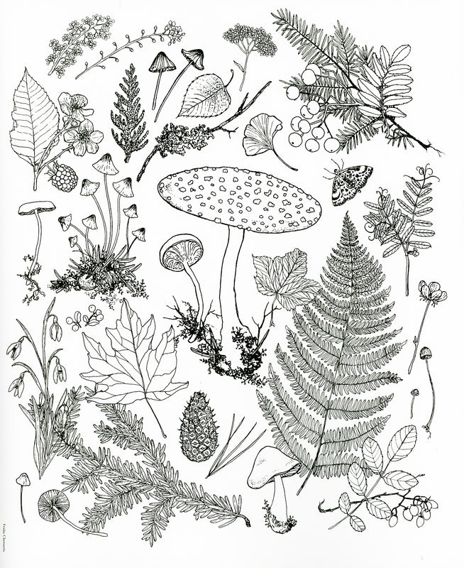 coloring pages vancouver washington